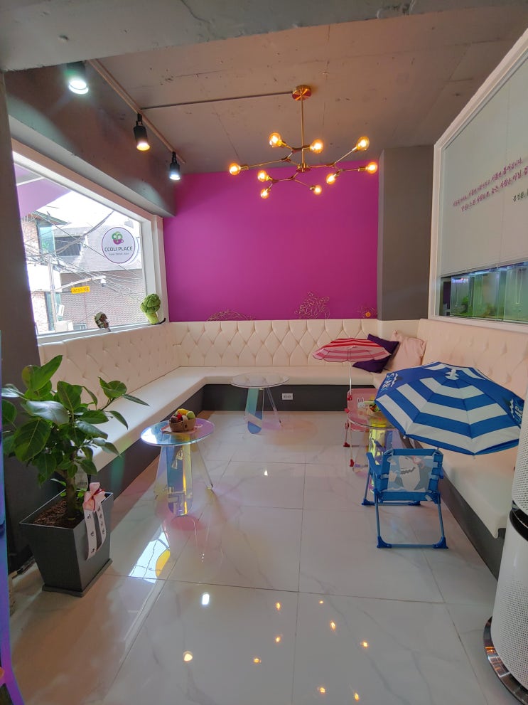 강남구청역 키즈존 카페 아이들데리고 가기좋은 콜리플레이스 네이버 블로그