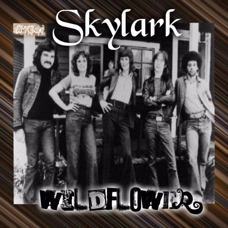 Wildflower | Skylark : 네이버 블로그