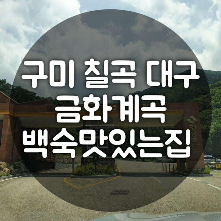 구미 칠곡 대구 근처 금화계곡 백숙 맛있는 집 금화식당 네이버 블로그