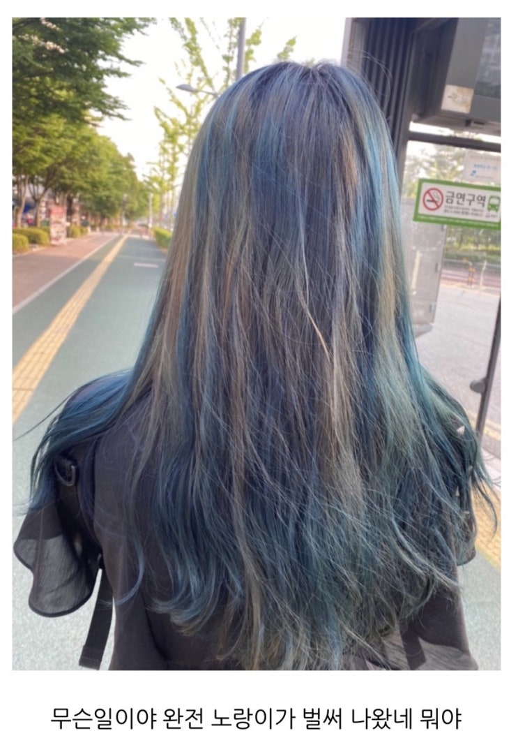 안토시아닌 헤어 매니큐어 B02 퓨어블루 V05 블루베리 파랑머리 한달 물빠짐 후기🤦‍♀️💙 네이버 블로그