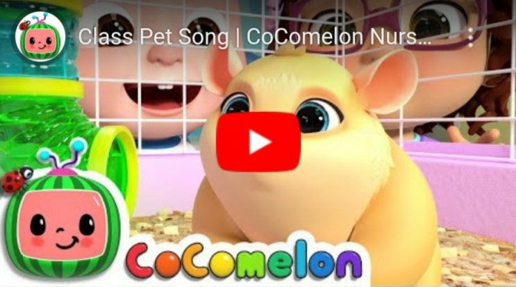 [코코멜론] Class Pet Sleepover | 젤리빈 집에 데려가는 노래 : 네이버 블로그