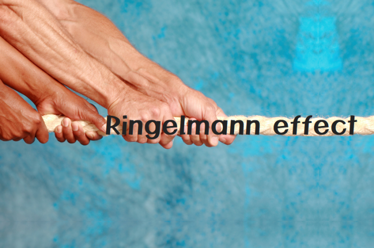 링겔만 효과(Ringelmann effect), 사회적 태만을 감소시키는 방법 : 네이버 블로그