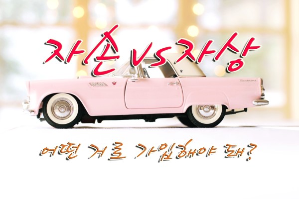 자손자기신체손해과 자상자동차상해 특약으로 자동차 사고 시 본인 피해도 보상받으세요 네이버 블로그