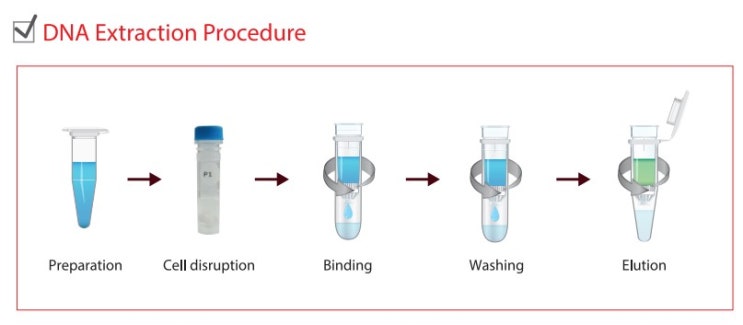Genelix™ Bacterial DNA Extraction Kit : 네이버 블로그