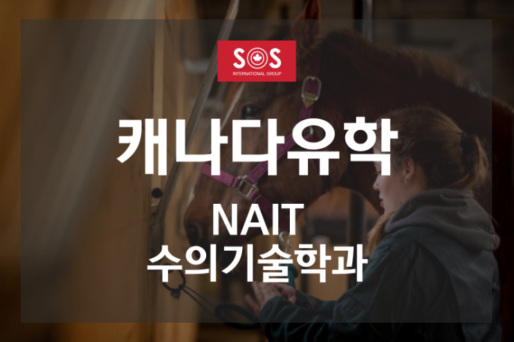 캐나다유학, 반려동물을 위한 NAIT 수의기술학과 Animal Health Technology 소개 : 네이버 블로그