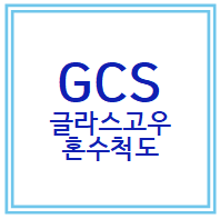 GCS(Glasgow coma scale) : 네이버 블로그