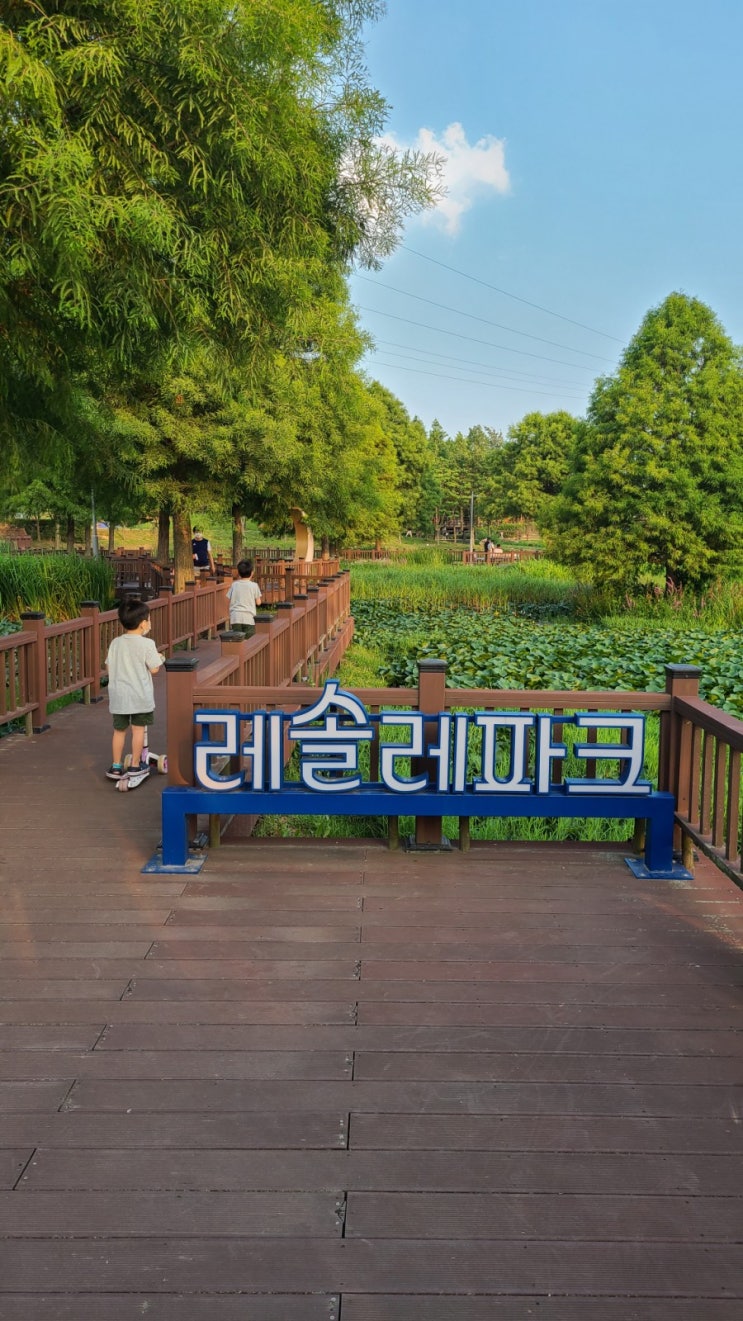 의왕 아이와 함께 갈만한 곳왕송호수연꽃습지의왕레일바이크파크 네이버 블로그
