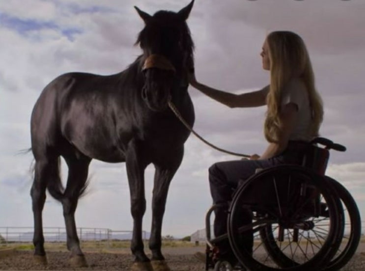 실화 영화 :Walk, Ride, Rodeo : 네이버 블로그