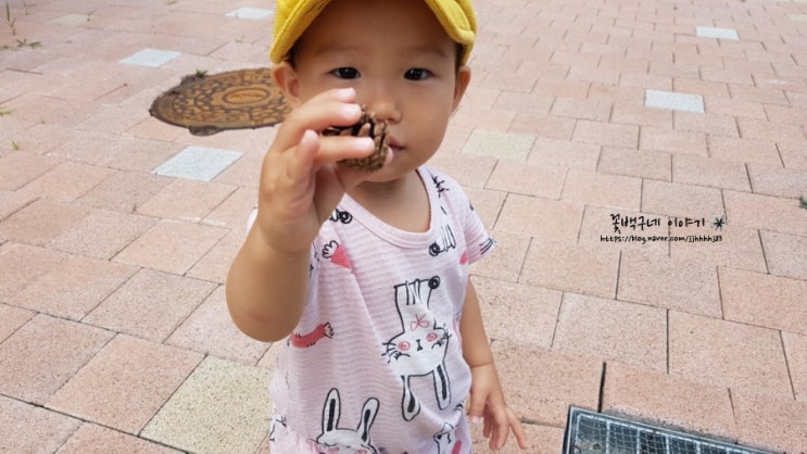 육아일상 :) 17개월 여아일상, 따치와 함께 맞이하는 두번째 여름 : 네이버 블로그