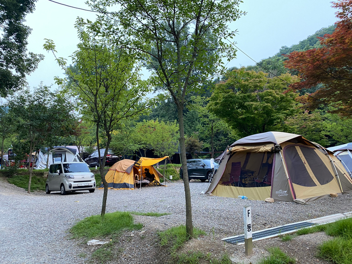 서울 근교 캠핑장ㅣ 파주 율곡캠핑장 주말이라 겨우 찾은 캠핑장 성공적 급 우중캠핑 네이버 블로그