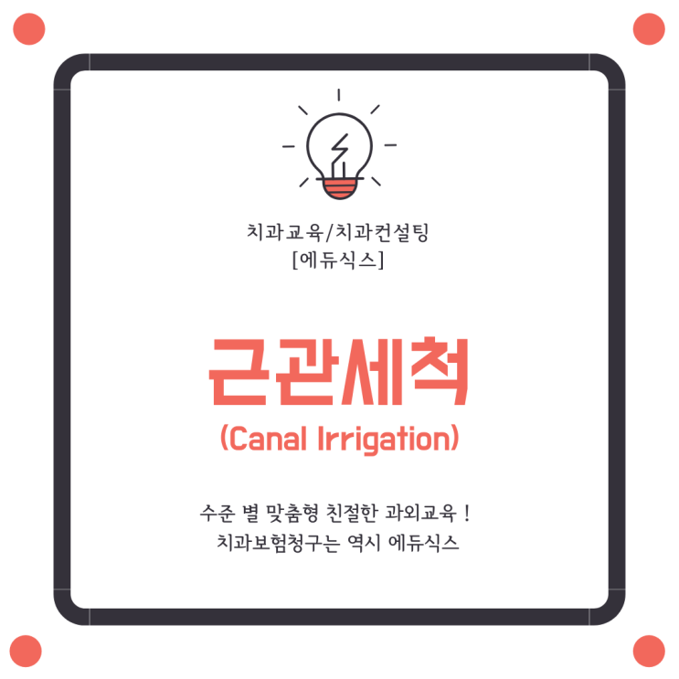 근관세척canal Irrigation 에듀식스edu6치과세미나치과보험청구세미나치과개원세미나두번에치과보험청구덴트웹