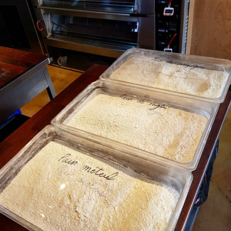 : 네이버 블로그