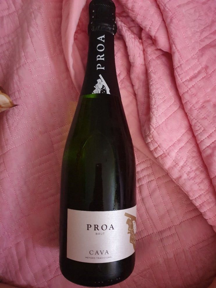PROA BRUT 프로아 브뤼 : 네이버 블로그
