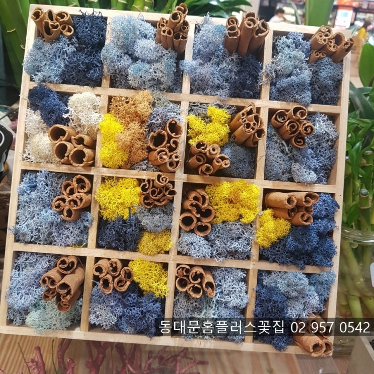 프리져브드플라워 천연이끼 시들지않는꽃 동대문꽃집 성동구꽃집 마장동꽃집 제기동꽃집 휘경동꽃집 청량리꽃집 전농동꽃집 답십리꽃집