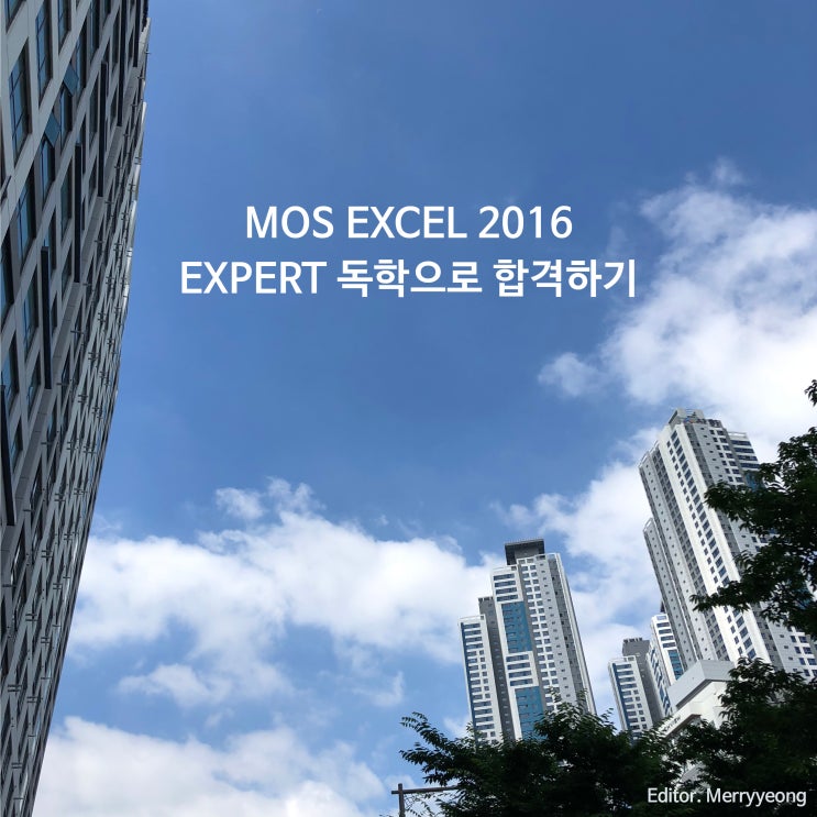 MOS EXCEL 2016 Expert (모스 엑셀) 독학 합격 이야기 : 네이버 블로그