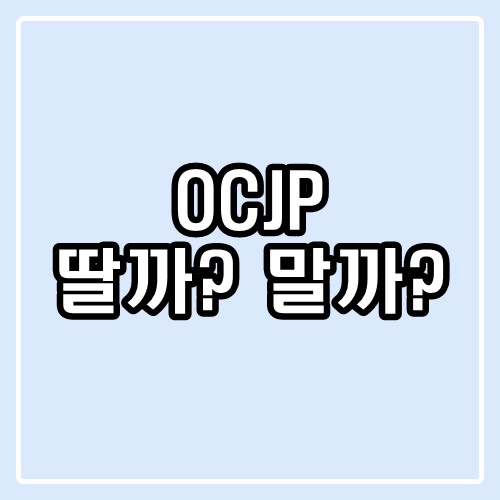 자바 자격증 OCJP 딸지 말지 고민된다면 : 네이버 블로그