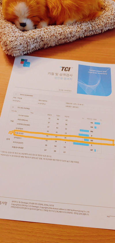 TCI 검사_자율성이 가장 중요한 이유 : 네이버 블로그