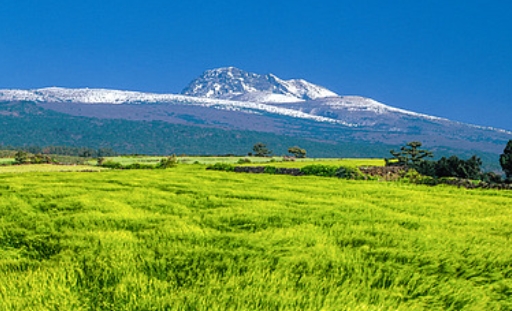 제주도 한라산 여행 시 준비물 알아봐요 : 네이버 블로그