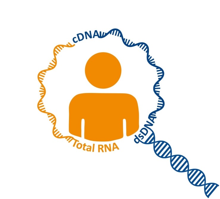 [NGS] ClickTech Library Kit full-length mRNA_Seq [BCK-CTL-FRS_10 ...