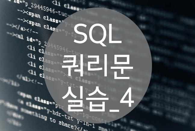 SQL 쿼리문 직접 실행시켜보기_4(GRANT,REVOKE) : 네이버 블로그