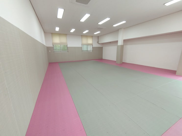 전북 정읍 태인고등학교 소규모실내체육시설 다오코리아 안전 바닥매트and안전 보호벽매트안전패딩 설치 네이버 블로그