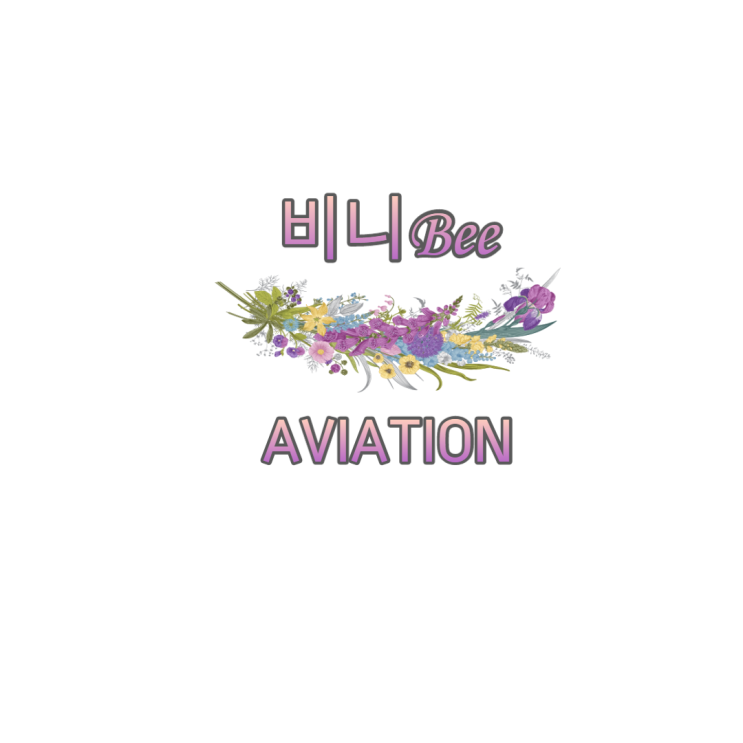 항공운임 Open Jaw 가위 벌린 여정 : 네이버 블로그