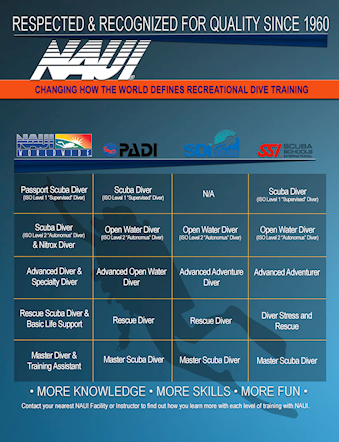 SCUBA Diving Level Equivalences 스쿠버다이빙 단체 별 레벨 비교(Naui 나우이, Padi 패디 등 ...