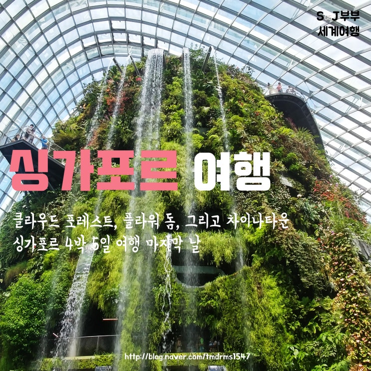 Singapore 싱가포르 여행 4박 5일의 마지막 날 차이나타운과 클라우드 포레스트 And 플라워 돔 In 가든스 바이