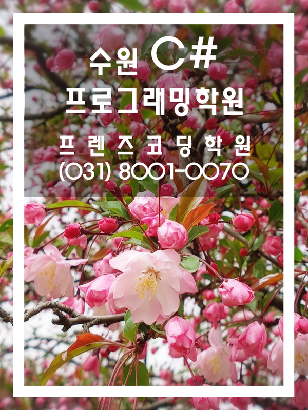 수원c학원 C 프로그래밍 과정 커리큘럼 소개 수원 안양 의왕 군포 화성 용인 영통 병점 동탄 오산 프로그래밍학원