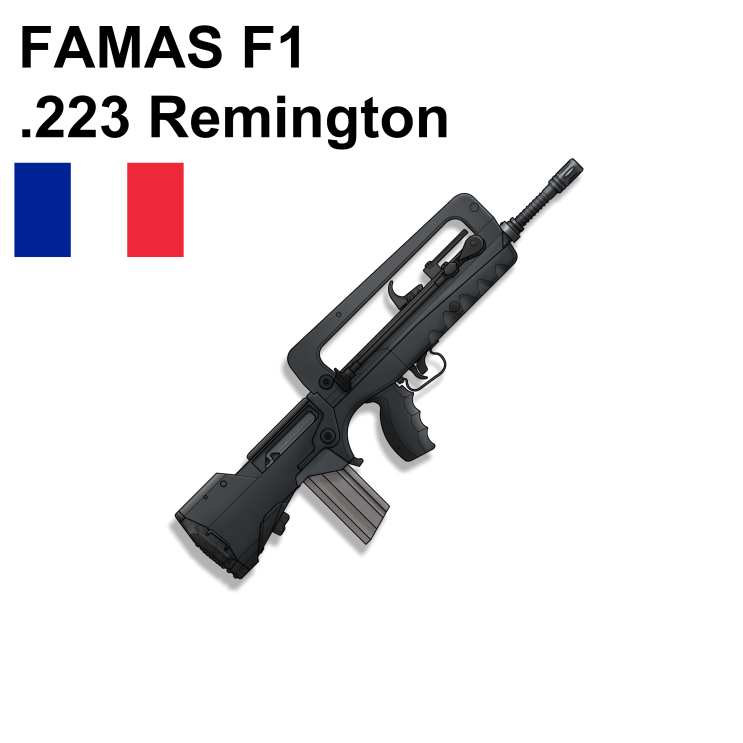 FAMAS (F1, G1, G2, Valorisé, FÉLIN) : 네이버 블로그
