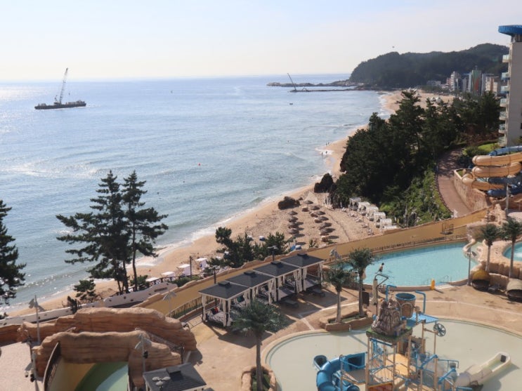 삼척 쏠비치 리조트 패밀리 클린 리캉스 후기 네이버 블로그