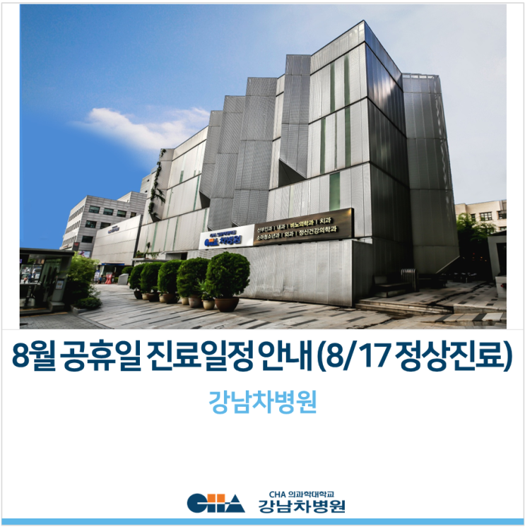 8월 공휴일 진료일정 안내 817 임시공휴일 정상진료 네이버 블로그