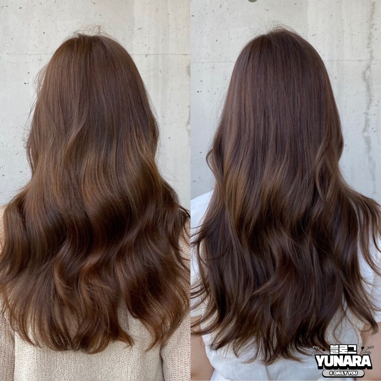 [강남-논현] 준오헤어 가든도산공원점 ( 이벤트 / 2020 헤어컬러 / 컬러체인지 / 효진 부원장 / 밀크브라운 염색 / 애쉬 ...