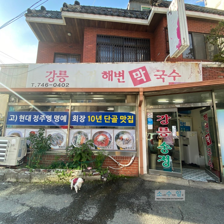 맛집부산해운대장산중동 강릉 송정 해변 막국수 네이버 블로그