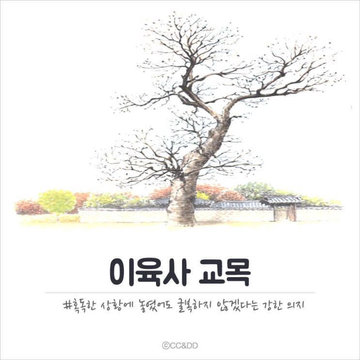 이육사 교목 해석 및 해설 핵심정리 네이버 블로그
