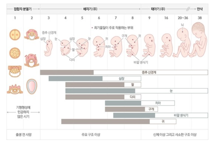 이른둥이 아동의 감각운동 발달지연 동탄 레하브레인 발달센터 작업치료 감각통합 운동치료 언어치료 네이버 블로그