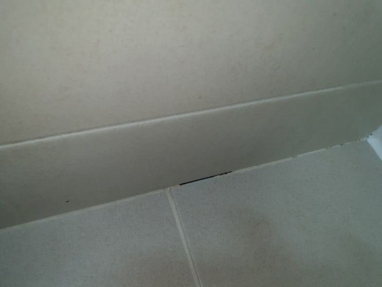 성북구 길음뉴타운 8단지아파트 화장실욕조 실지렁이출몰 날벌레나방파리출몰문제점검 욕조보수작업 네이버 블로그