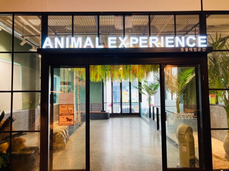 경주 아이랑함께 WOW ZOO 와우주 경주실내동물원 체험하기! : 네이버 블로그