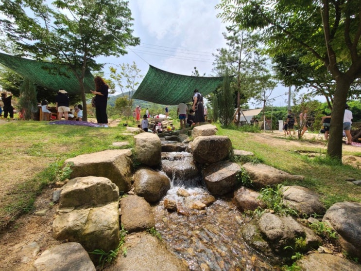 청도 헬로선샤인 카페 할매김밥 대구근교나들이 : 네이버 블로그