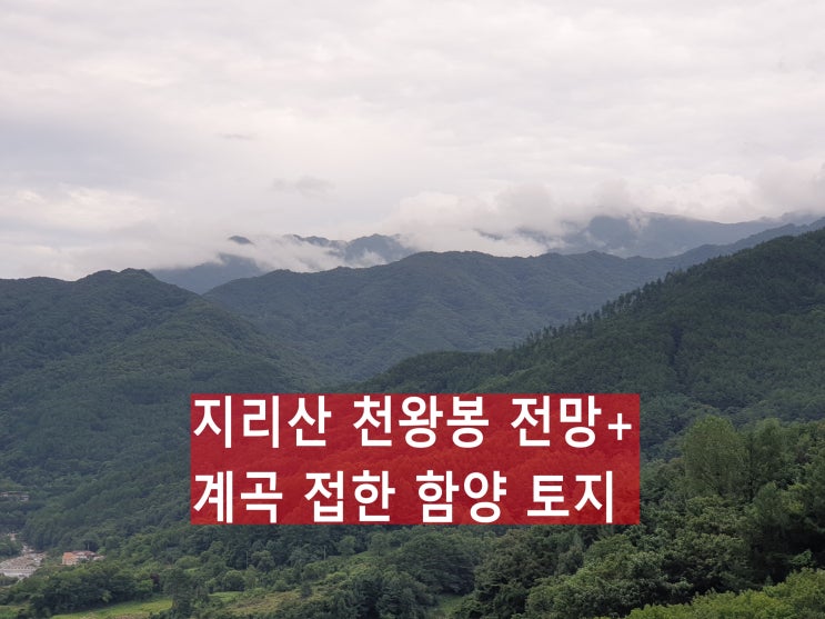 함양 토지 매매지리산 천왕봉 전망 함양군 토지매매계곡 접한 함양 땅매매함양부동산함양군부동산마천면부동산 네이버 블로그