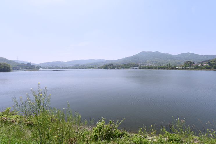 부동산 정보 산지전용허가 및 대체산림자원 조성비 부과기준은 네이버 블로그