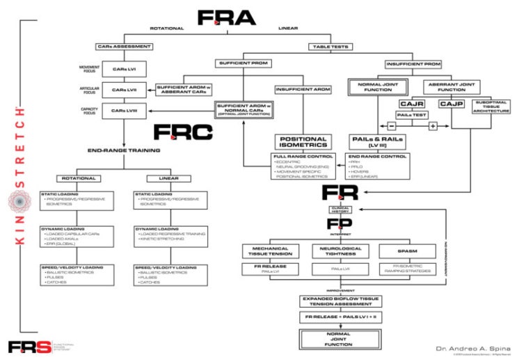 Functional Range Systems - 평가 (1편) : 네이버 블로그