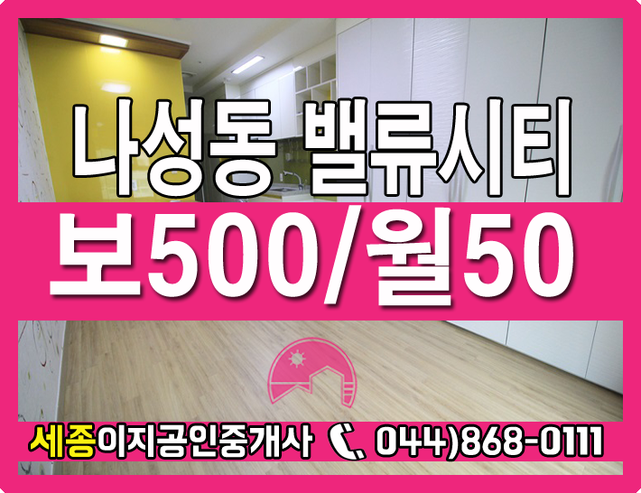세종시 도시형생활주택 나성동 갤러리밸류시티 월세 네이버 블로그