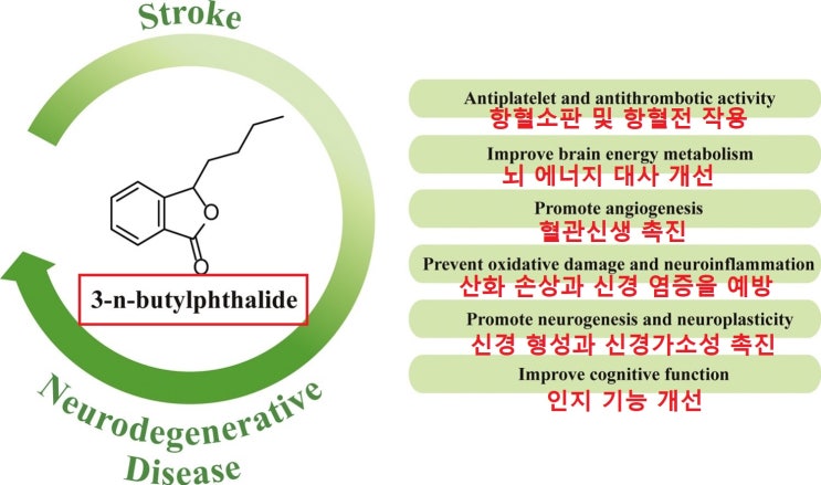 셀러리 씨(celery seed) 추출물인 3‑n‑butylphthalide(l-NBP): 뇌졸중 치유제 & 신경보호제 ...