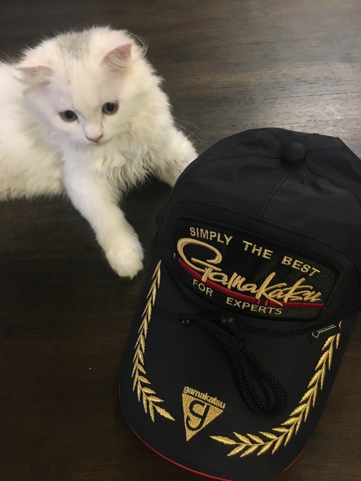 가마가츠 고어텍스 캡(gm-9824) & 캡 키퍼(gm-2090) : 네이버 블로그