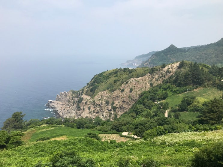 울릉도 해안도로거북바위 국수바위버섯바위태하 황토굴 코끼리바위 네이버 블로그