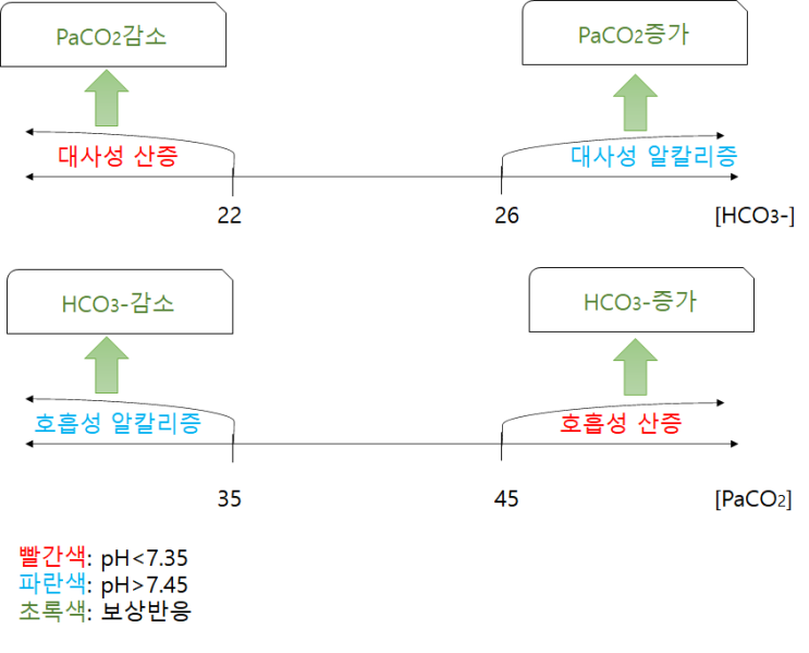 산 염기장애대사성 산증 대사성 알칼리증 호흡성 산증 호흡성 알칼리증ppt첨부 네이버 블로그