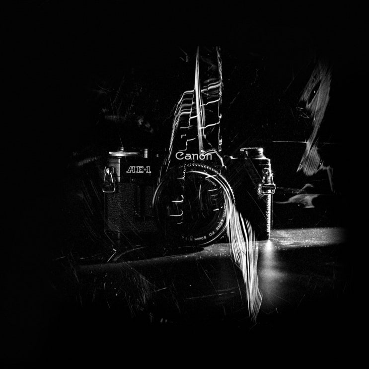 핫셀블라드 503CX 중형 흑백필름으로 제품 사진 촬영하기 : 네이버 블로그