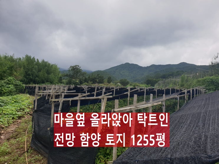함양 토지 매매탁트인 전망 함양군 토지매매싼 함양 땅매매함양군 땅매매함양부동산서하면부동산서하면토지매매 네이버 블로그