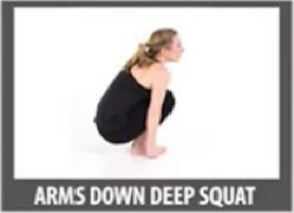 [SFMA] SFMA Top Tier - 7.딥 스쿼트 검사 Arm down deep squat) : 네이버 블로그